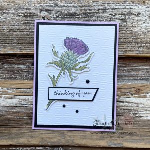 Beautiful Thistle Thinking of You Card - Stamped Treasures