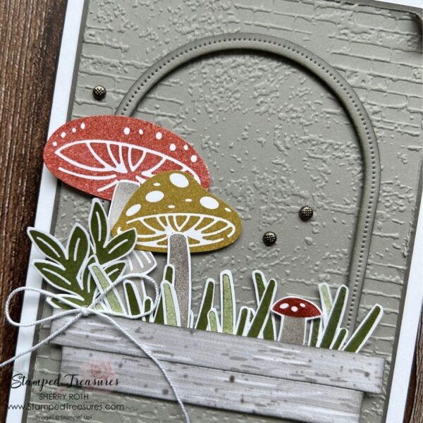 Card Idea using Stampin' Up!'s Terrific Toadstools - Sherry Roth